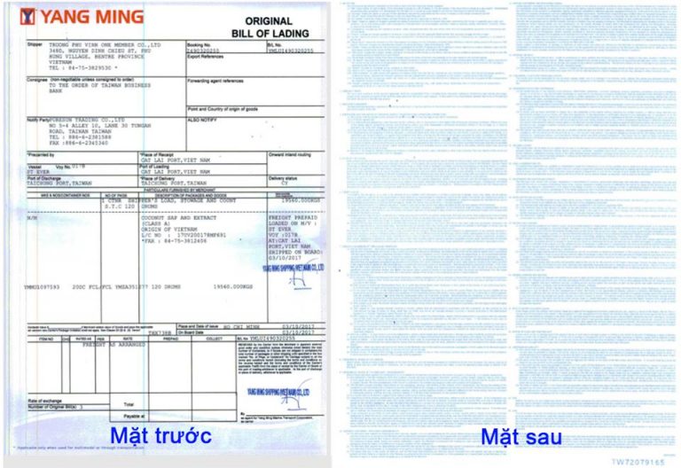 Cách Phân Loại Vận Đơn Bill Of Lading