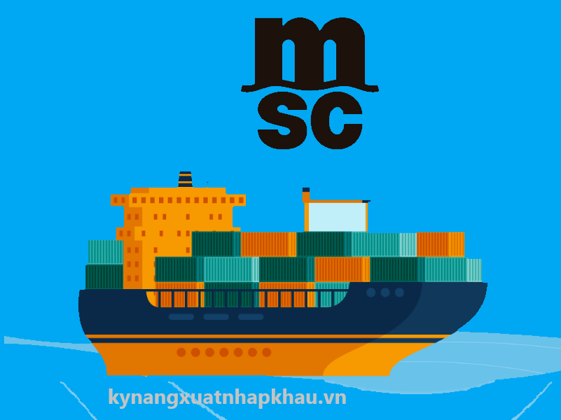 Hãng Tàu MSC- Hãng Tàu Container Lớn Thứ 2 Thế Giới